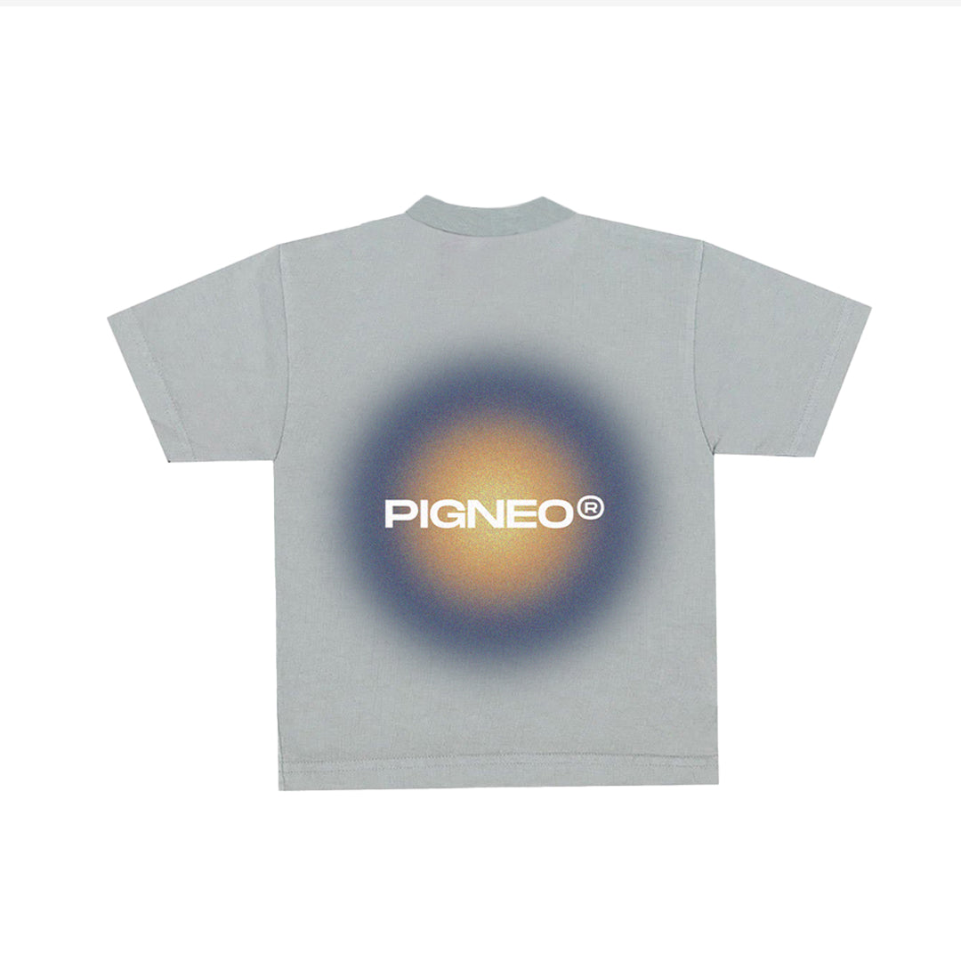 Pigneo