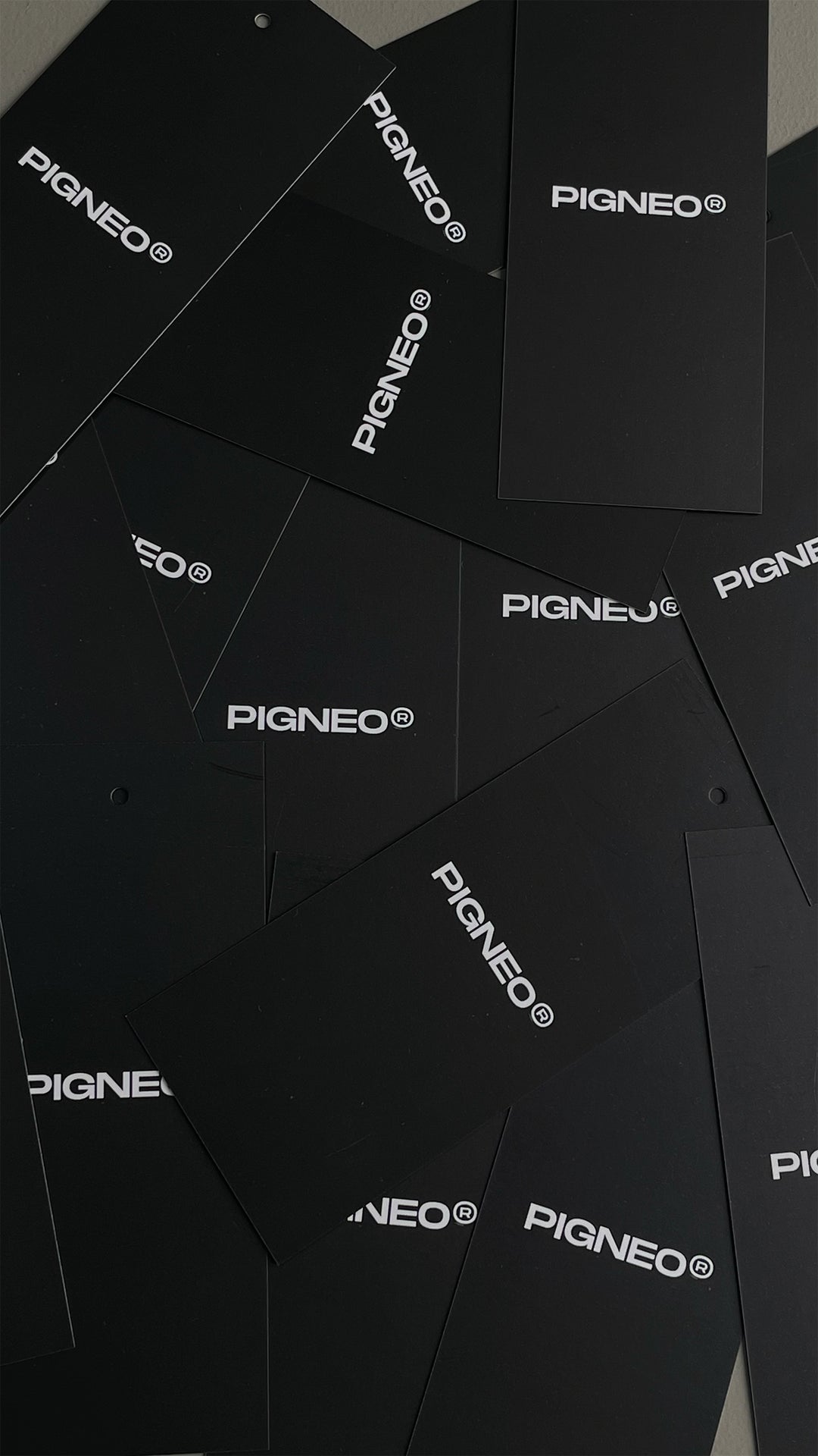 Pigneo